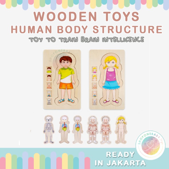 Jual JKT READY Onshine Human Body Structure Puzzle Wooden Toy Mainan ...
