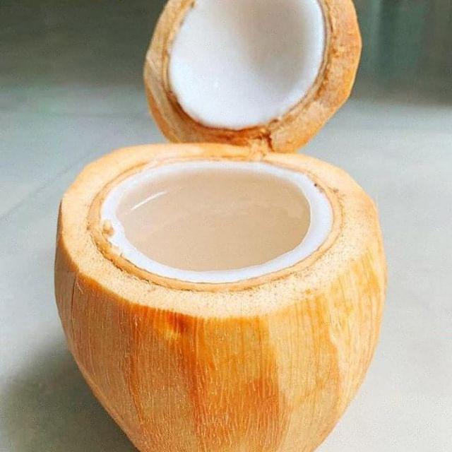 Jual PUDING BATOK KELAPA MUDA / PUDING KLAMUD RANA GOJEK GRAB INSTANT ...