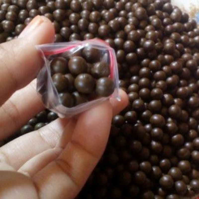 Jual Pil pinang anum/pil pinang muda | Shopee Indonesia