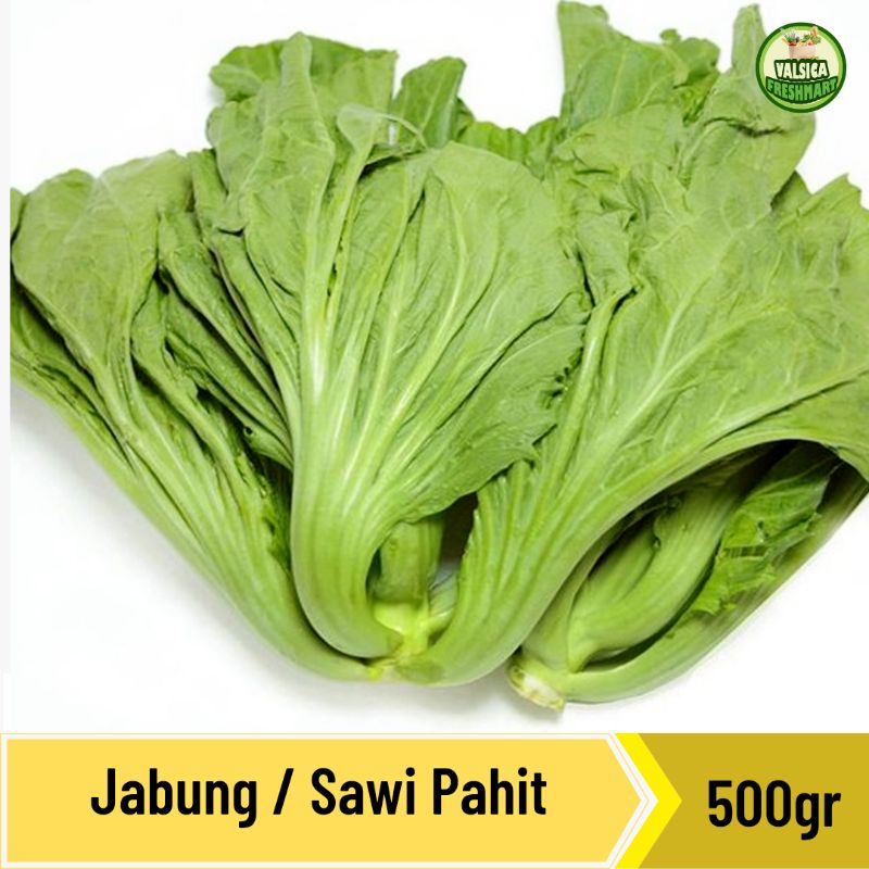 Jual Jabung / Sawi Pahit - 500gr | Shopee Indonesia