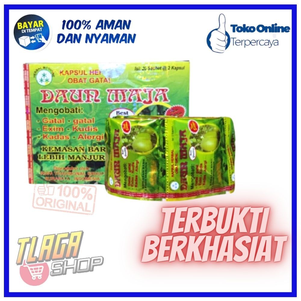 Jual KAPSUL HERBAL DAUN MAJA OBAT GATAL GATAL EXIM KUDIS KADAS ALERGI ...