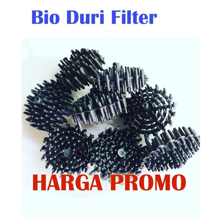Jual BIO BALL DURI BIOBALL RAMBUTAN BIO BALL media filter - bakteri ...
