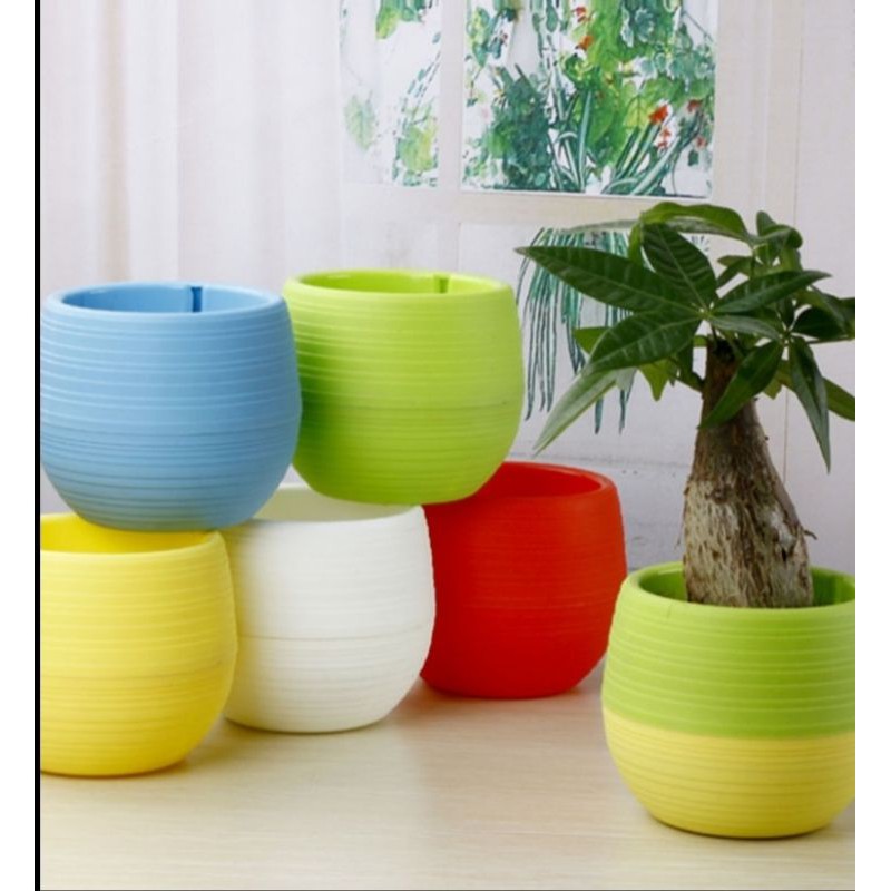 Jual Pot Bunga Mini Warna Warni 5 Pcs | Shopee Indonesia