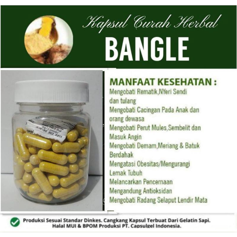 Jual BANGLE 100 Kapsul Herbal Antioksidan Nafsu makan Rematik Lemah ...