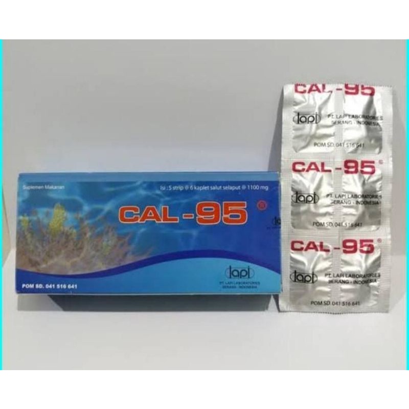 Jual CAL 95 CALSIUM LAPI | Shopee Indonesia