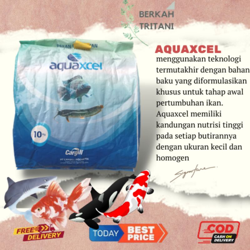 Jual Aquaxcel Cargill Pakan Benih Ikan 1 Kg Bernutrisi Tinggi Ukuran Kecil Dan Homogen. | Shopee ...