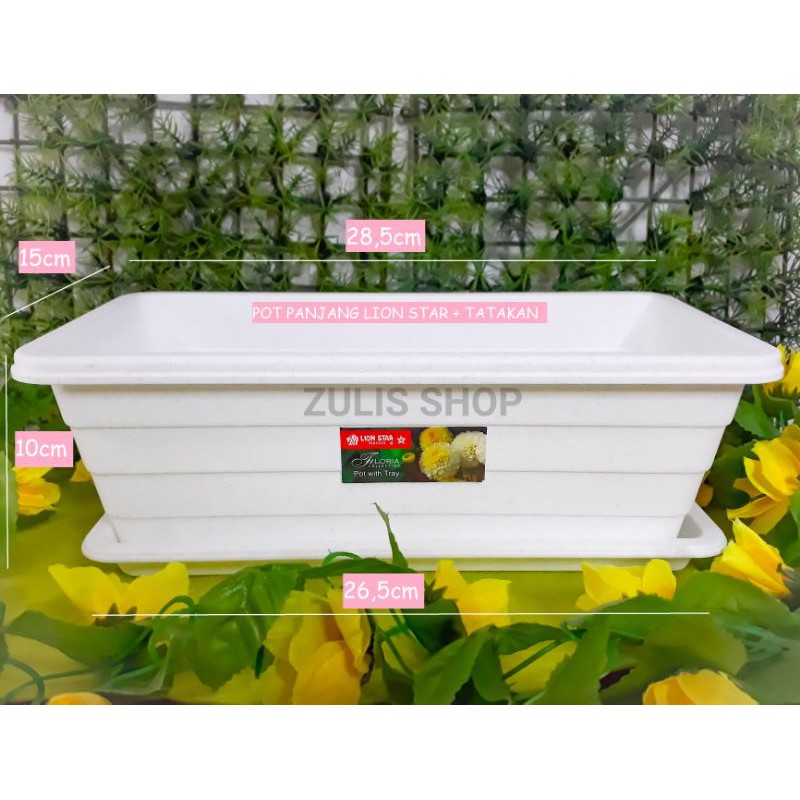 Jual POT BUNGA / TANAMAN PANJANG LION STAR + TATAKAN AIR / ALAS POT ...