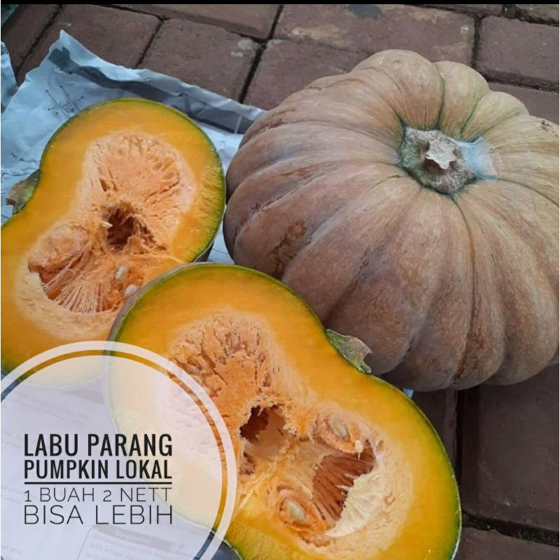 Jual LABU / WALUH / PUMKIN LOKAL | Shopee Indonesia