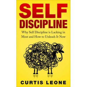 Jual BUKU BEST SELLER / BUKU MURAH / BUKU Self Discipline Mindset Why ...