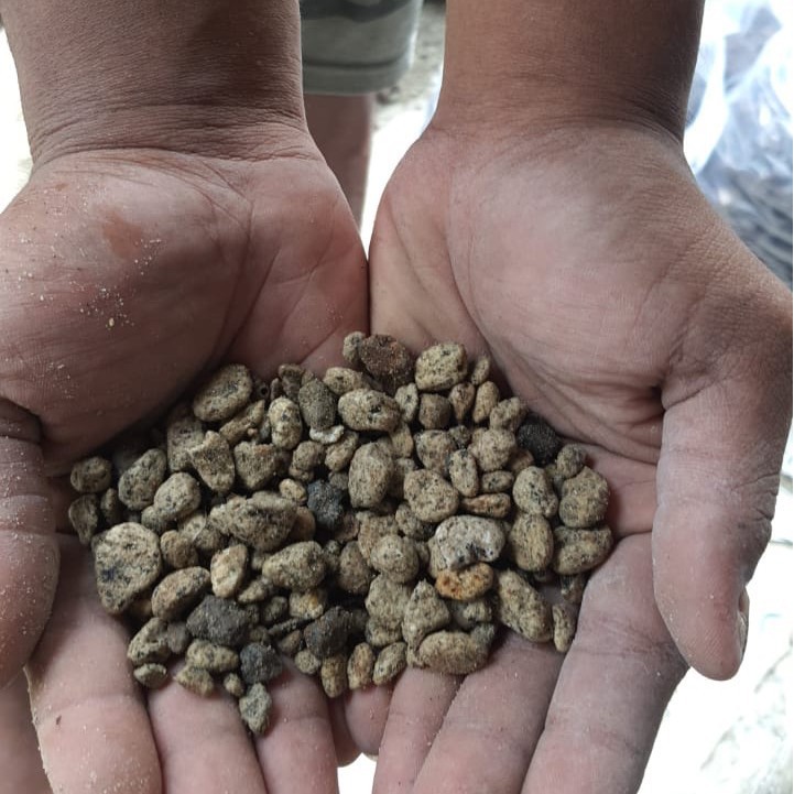 Jual Batu Pumis / Pumice Media Tanam Ukuran Kecil Kemasan 20 Kg ...