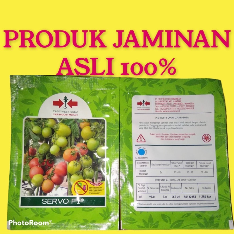 Jual Benih Tomat Servo F1 isi 1750 butir EXP :JUNI 2026 GARANSI 100% ...