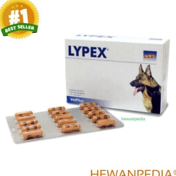 Jual LYPEX KAPSUL ENZIM ANTI DIARE ANJING KUCING PANKREAS -Per Dus (60 ...
