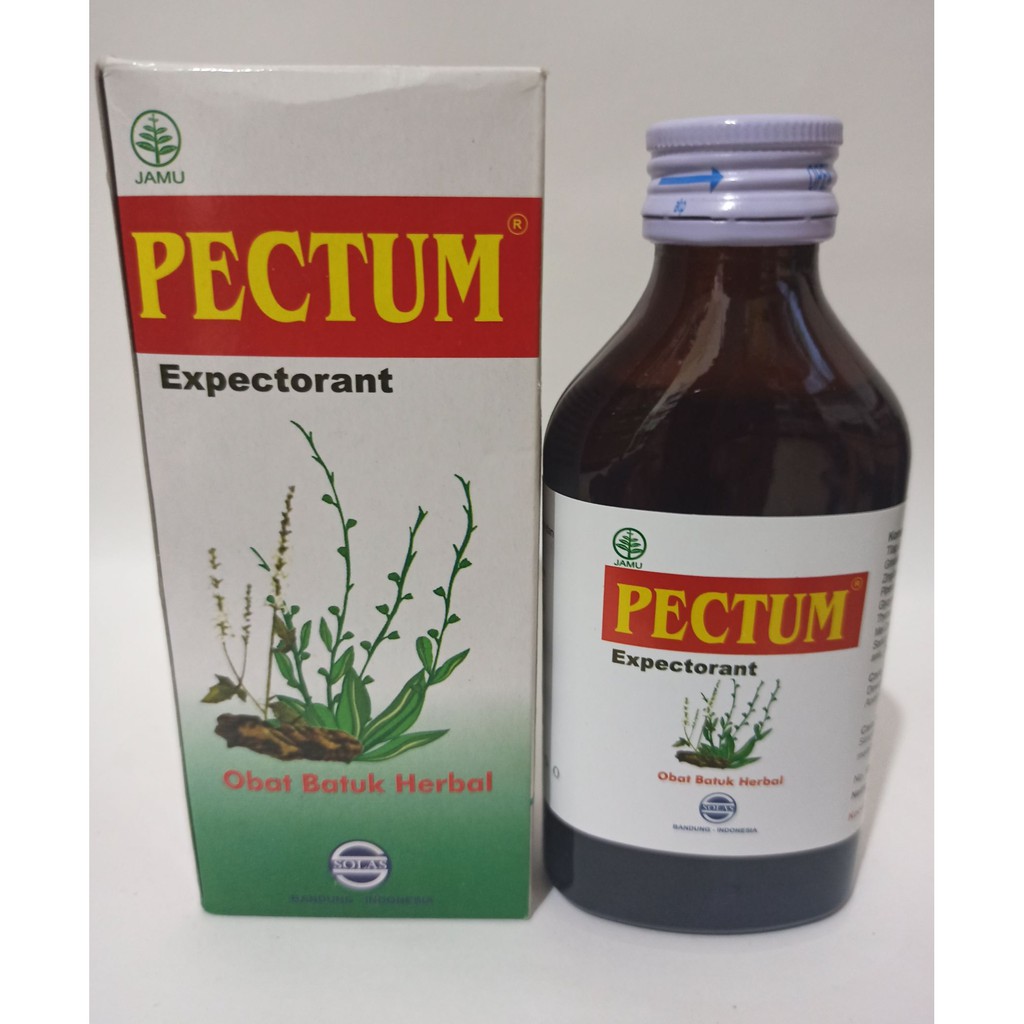 Jual PECTUM EXPECTORANT 120ML / OBAT BATUK BERDAHAK / OBAT BATUK HERBAL ...