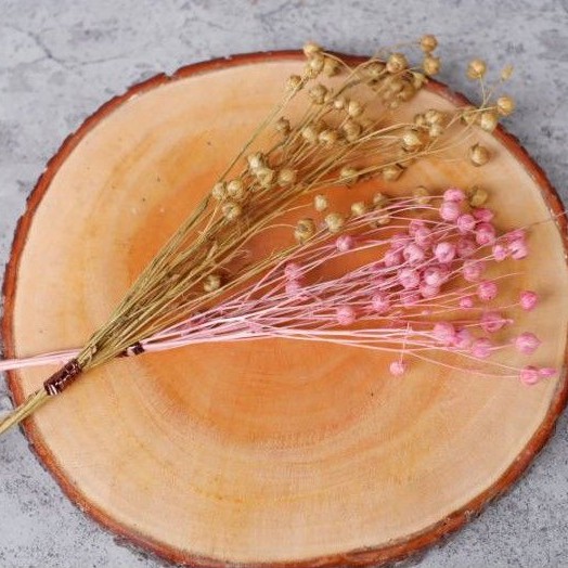 Jual Bunga Kering Dried Flower Lino Hiasan buket Bunga Coriander ...