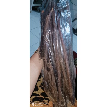 Jual Biji Asam Trengguli 1Kg / Benih / Lokal / Indonesia / Viral ...