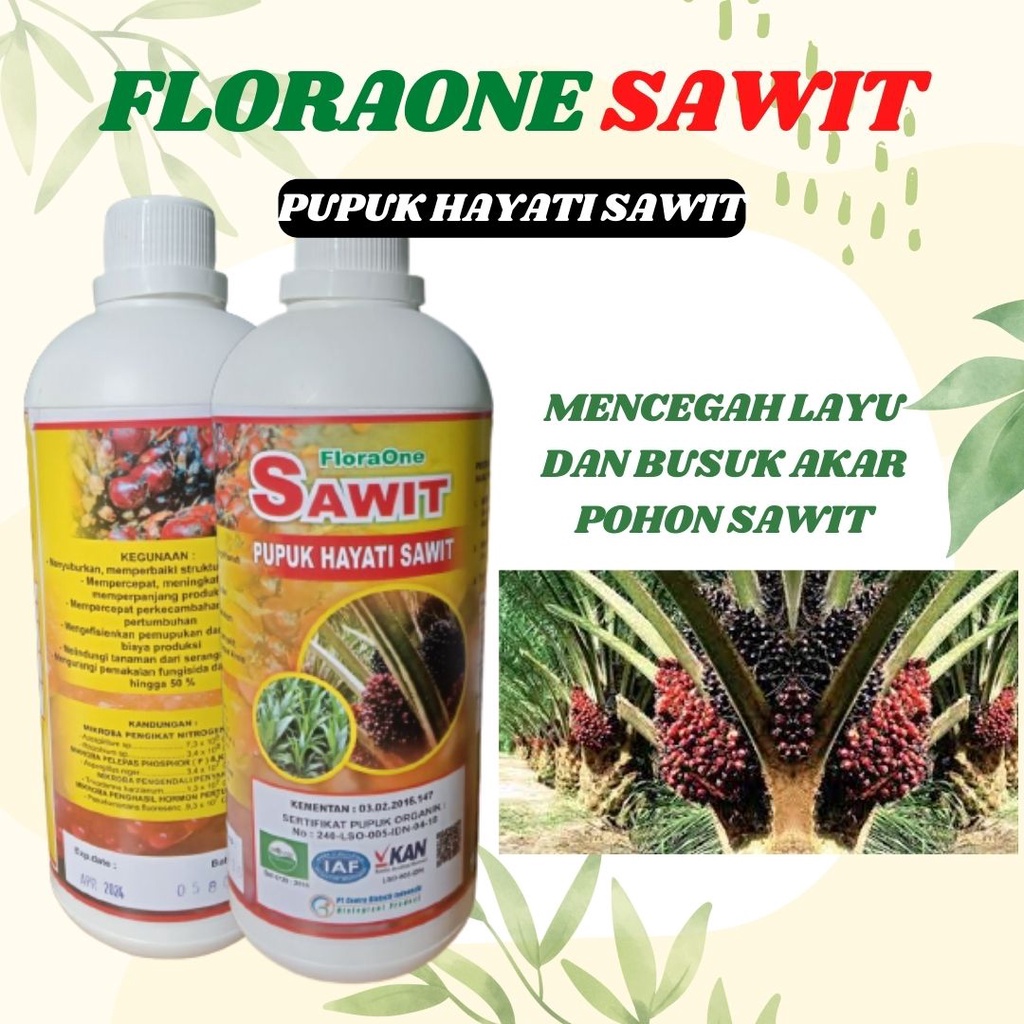 Jual Pupuk sawit, pupuk booster obat sawit busuk, Pupuk Organik Pelebat Sawit dan Booster ...