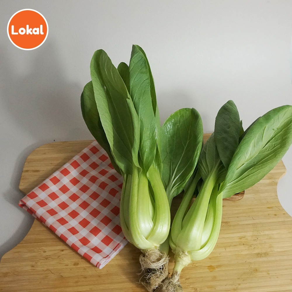 Jual Sayur Pakcoy Segar / Pakchoy 250 Gram | Shopee Indonesia