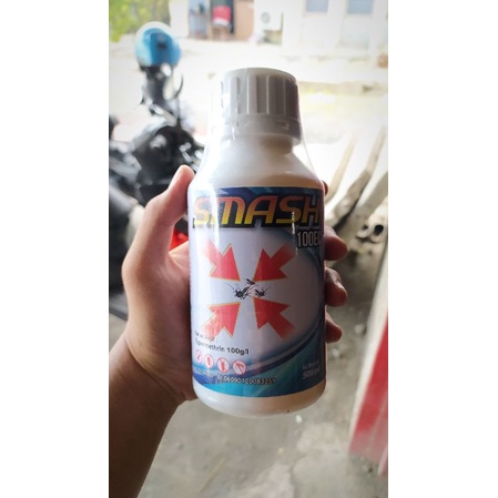 Jual OBAT FOGGING PEMBASMI NYAMUK SMASH 100EC 500ML | Shopee Indonesia