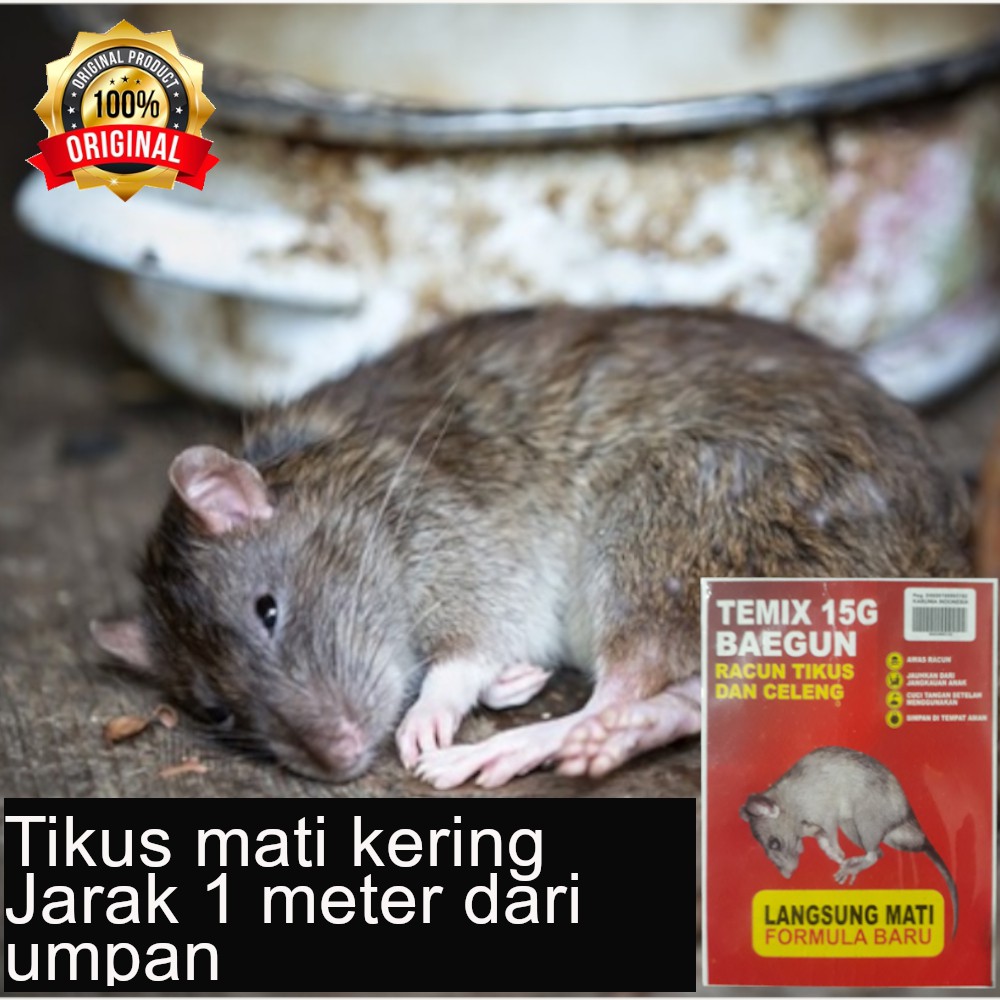 Jual Pengendali Hama Tikus Obat Tikus Mati Kering Super Ampuh Teknologi ...