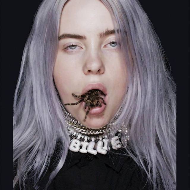 Jual POSTER BILLIE ELISH | Shopee Indonesia