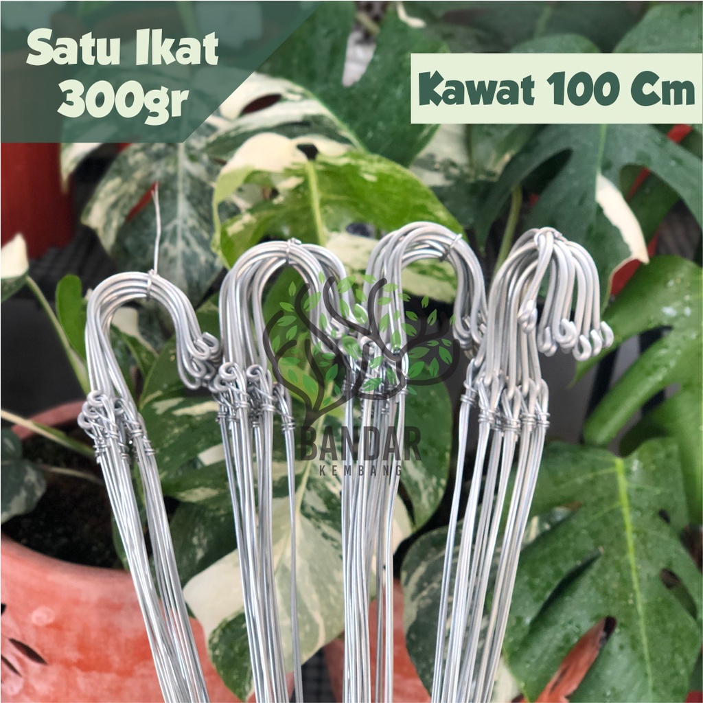 Jual Kawat Tali Pot Tanaman Hias Per Ikat Ukuran 100cm | Shopee Indonesia