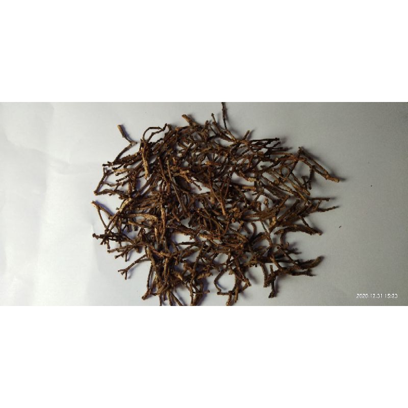 Jual batang atau tangkai cengkeh kering | Shopee Indonesia