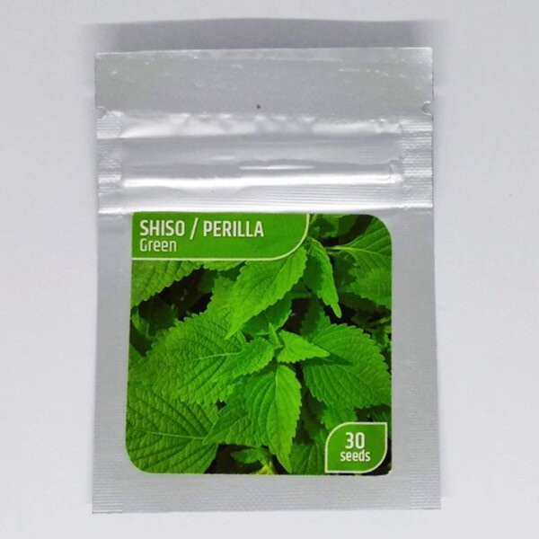Jual Benih Bibit Shiso Perilla Green Biji Tanaman Sayur Sayuran Daun ...