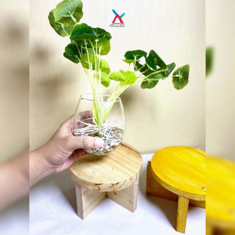 Jual Standing Pot / Tatakan Pot Kayu Minimalis Jati Belanda / Pot ...