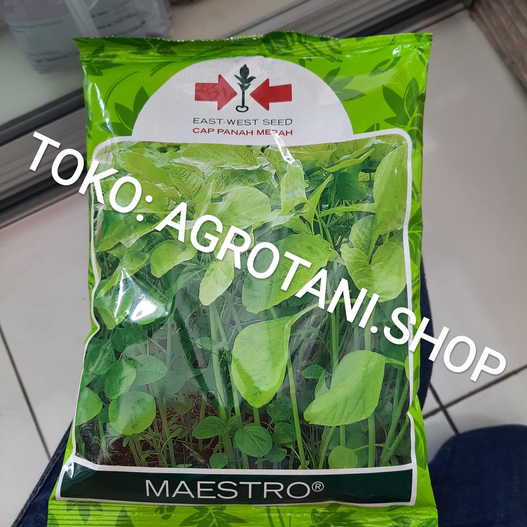 Jual Bibit Bayam Hijau Maestro Panah Merah Asli Kemasan Besar dari ...