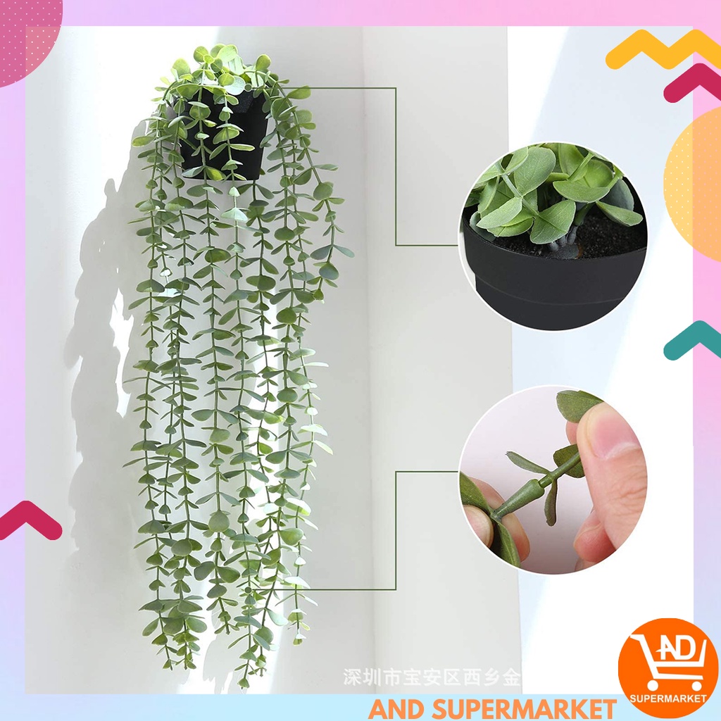 Jual Tanaman Hias Gantung Dekorasi Dinding Rumah Tanaman Juntai Palsu ...