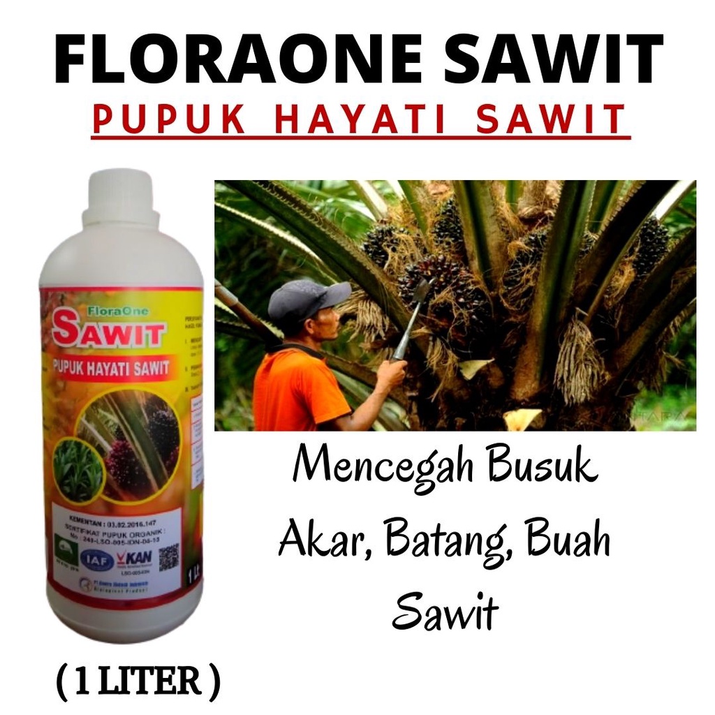 Jual Fungisida Hayati, Pupuk Cair Untuk Bibit Sawit, Obat Jamur ...