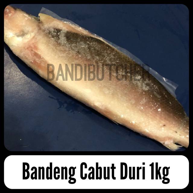 Jual Ikan Bandeng Cabut Duri - Milkfish Tanpa Duri Segar Bandi Fish ...