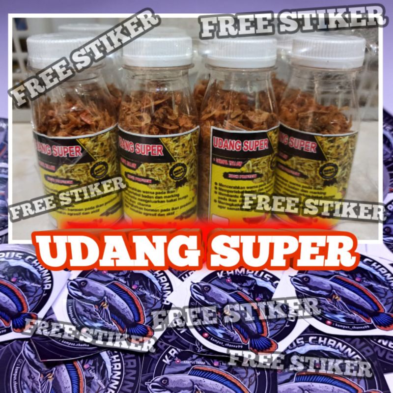 Jual UDANG SUPER YELLOW FREE STICKER | Shopee Indonesia