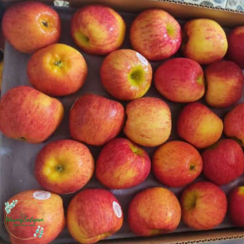 Jual Apel Envy Apel Premium New Zealand Apel Import Enak Apel Segar ...
