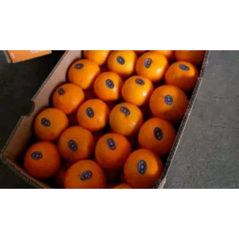 Jual PASAR GUBENG - Jeruk Wogan/Wokam per kg | Shopee Indonesia