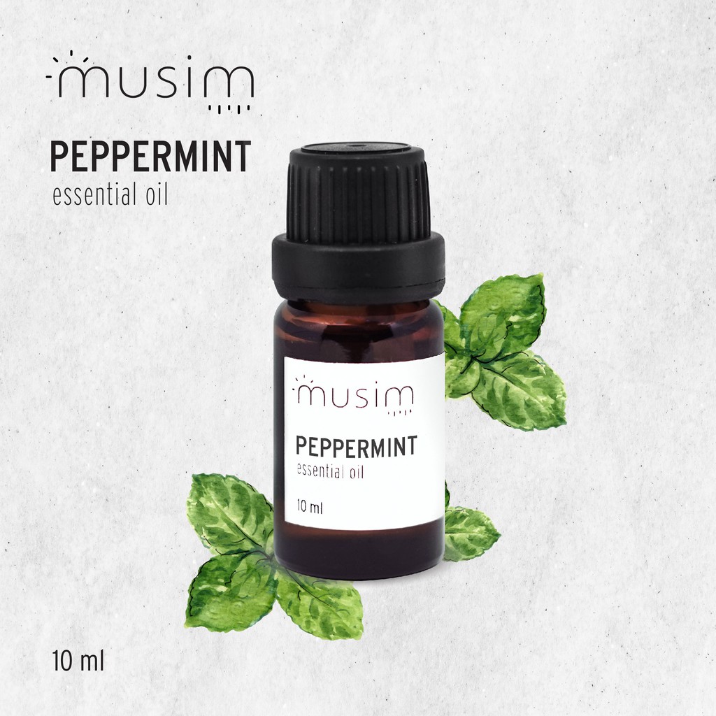 Jual Peppermint Essential Oil / Minyak Mint Aroma Terapi Pure 10ml - MUSIM | Shopee Indonesia