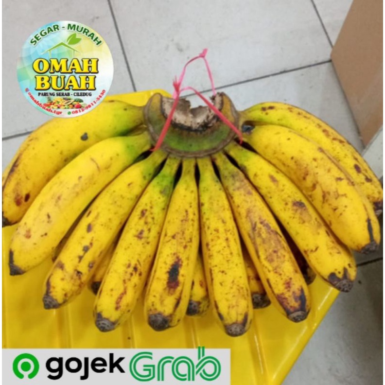 Jual Pisang Barangan Medan 1 Sisir | Shopee Indonesia