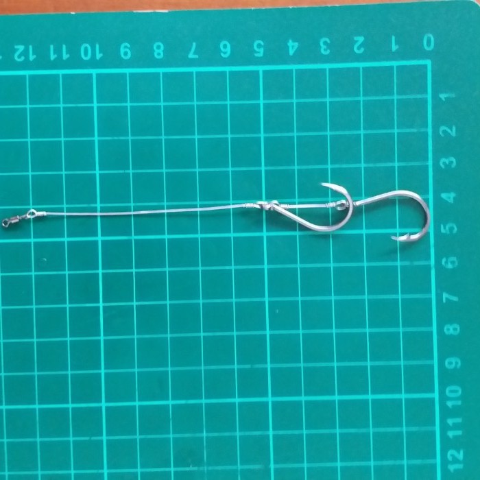 Jual konceran ikan tenggiri, ikan baracuda atau ikan bergigi tajam ...