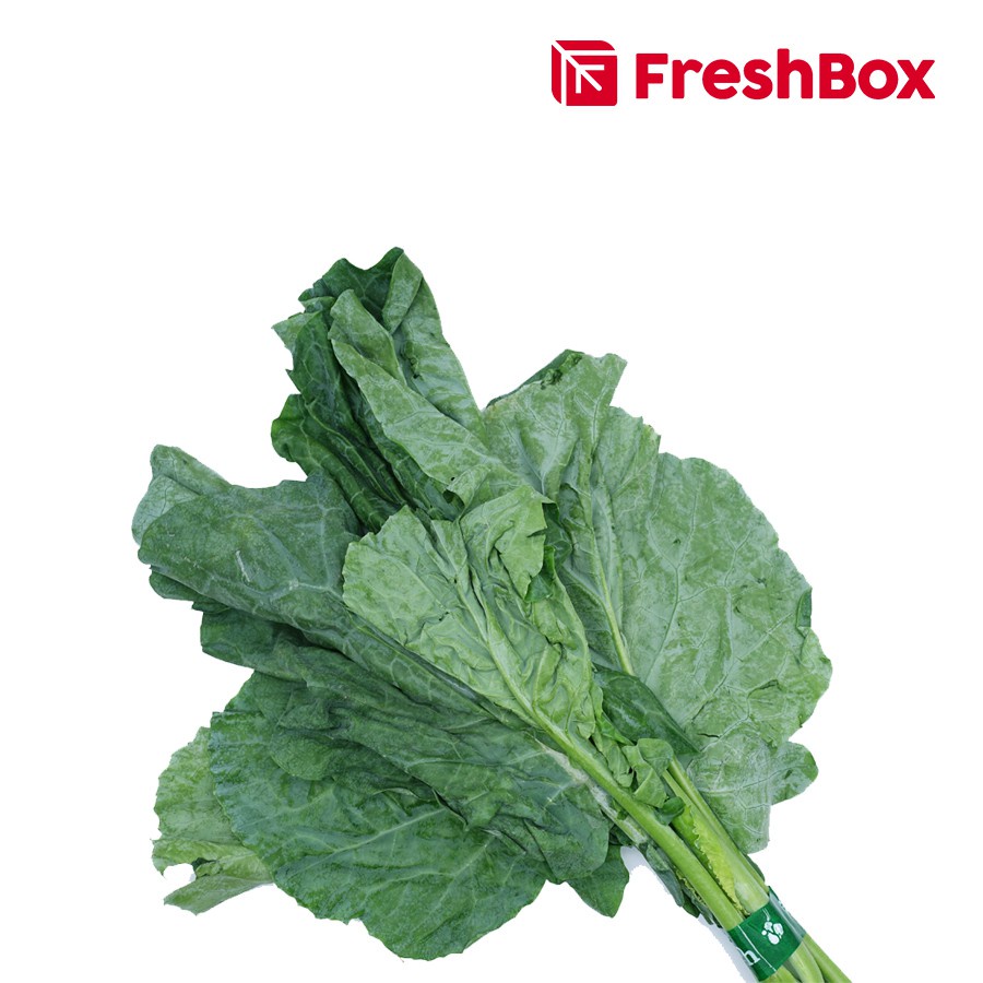 Jual Kailan 500 Gr FreshBox | Shopee Indonesia