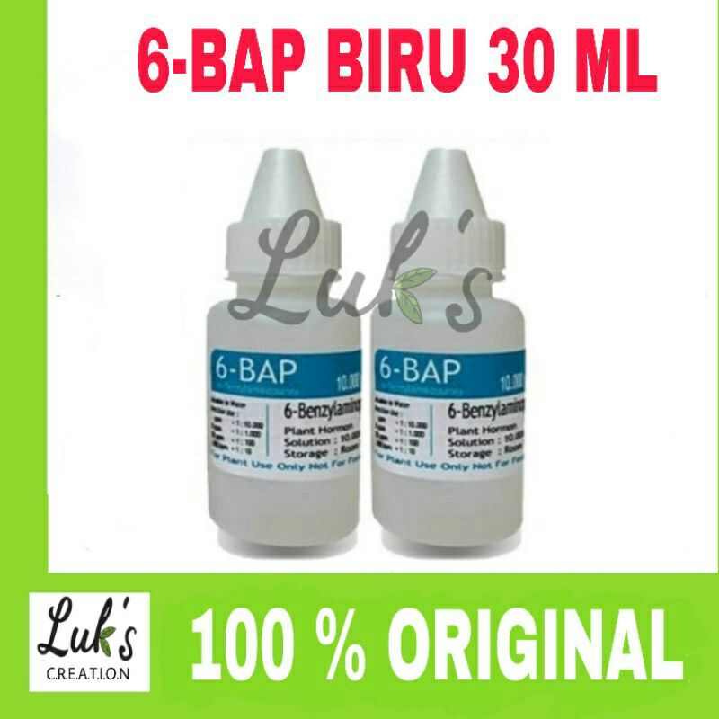 Jual 6 - BAP BIRU Benzylaminopurine hormon 6 BAP anggrek | Shopee Indonesia