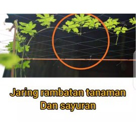 Jual Jaring tanaman rambat buah & Sayuran/Sudah termasuk taliFrame ...