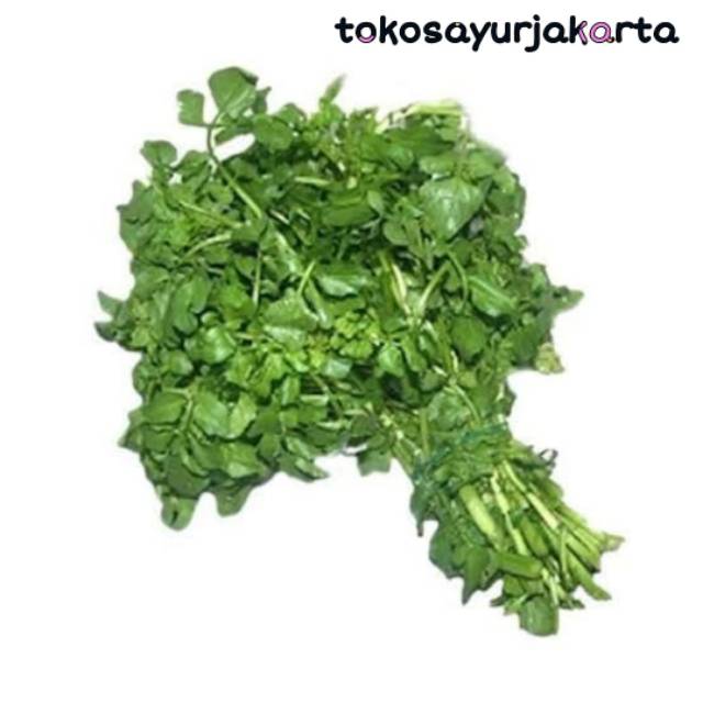 Jual Selada Air Segar - Per Ikat | Shopee Indonesia