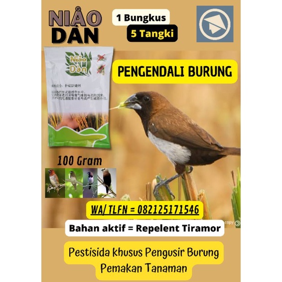Jual (NIAO DAN) OBAT PESTISIDA PENGUSIR HAMA BURUNG PEMAKAN TANAMAN ...