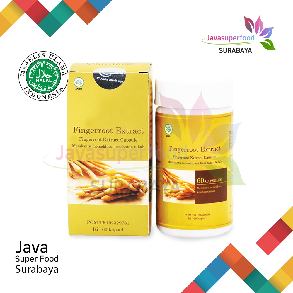 Jual [Java Super Food] TEMU KUNCI KAPSUL / FINGERROOT EXTRACT CAPSULE ...