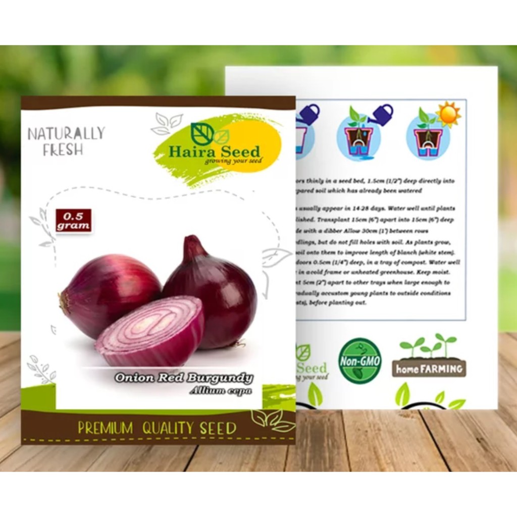 Jual Benih Bibit Buah Bawang Bombay Merah/Onion Red Burgundy Ninufarm ...