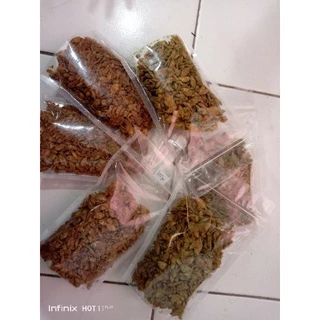 Jual Ikan Pepetek Terlengkap & Harga Terbaru Juni 2024 | Shopee Indonesia