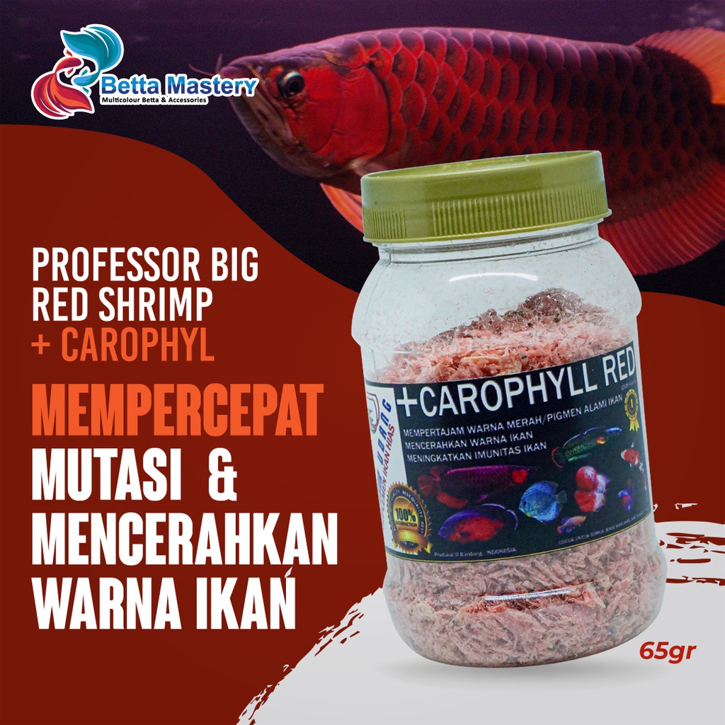 Jual Professor big Red Shrimp + Carophyl , Pakan Ikan hias cupang koki ...