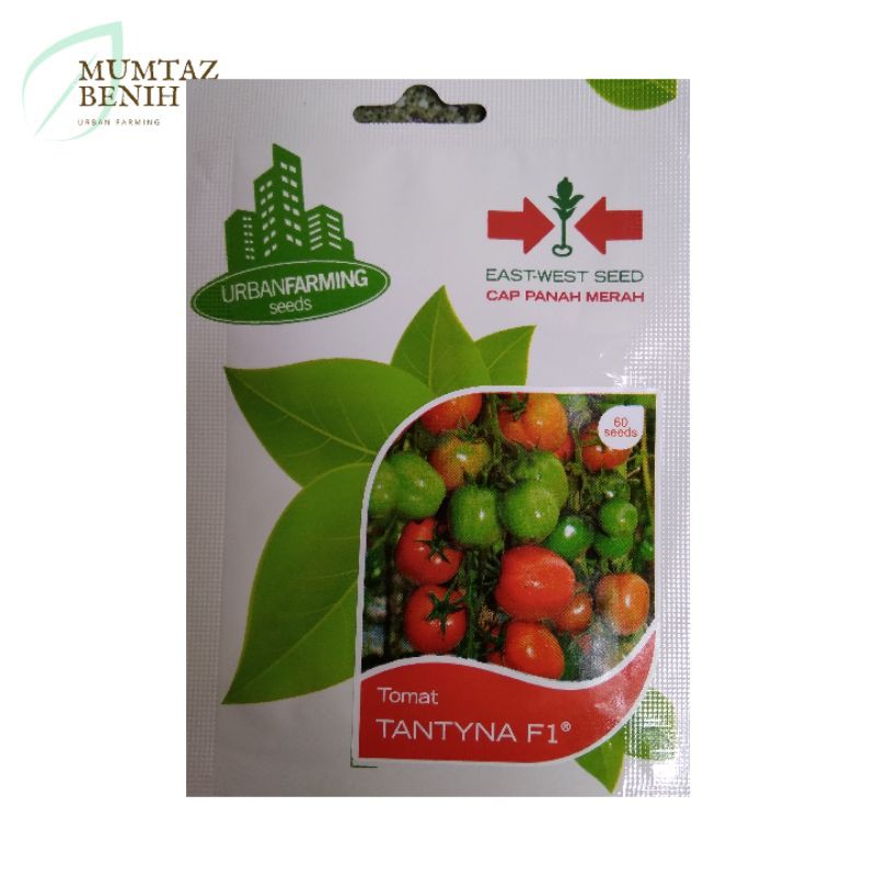 Jual Benih Tomat Tantyna (Cap Panah Merah) | Shopee Indonesia