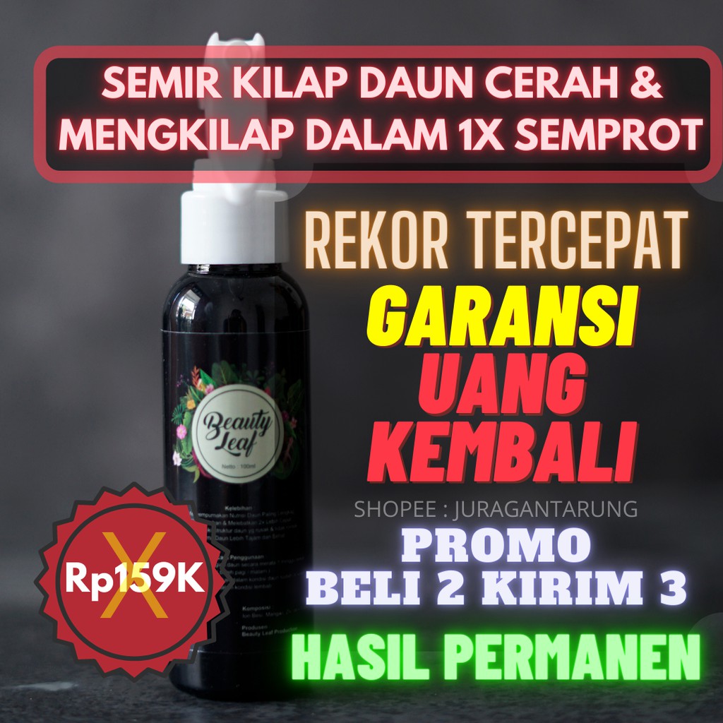 Jual Semir Daun Aglonema, Semir Daun Tanaman Hias, Semir Daun Tanaman ...