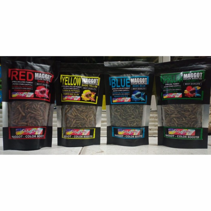 Jual maggot color booster - spirulina | Shopee Indonesia